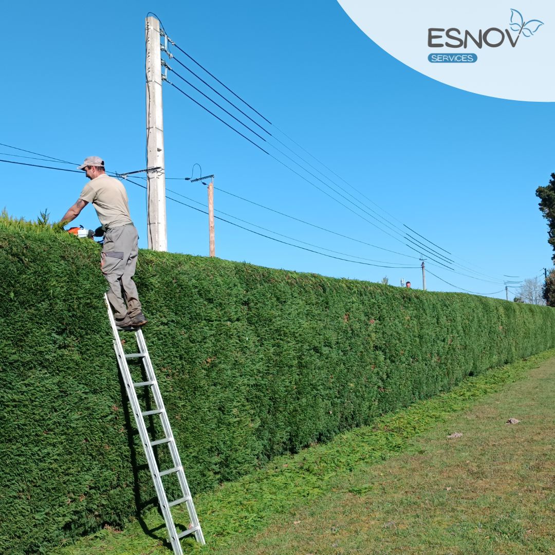 La saison de la taille se termine à Esnov'Services ! - ESNOV